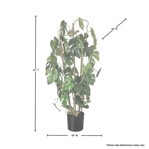 Potted Climbing Split Philo Plant 41" - Bed Bath & Beyond - 35824197